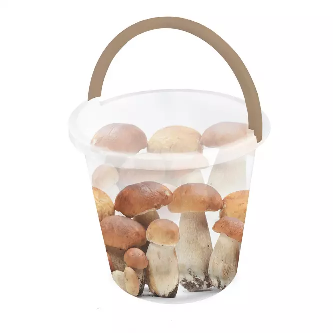 Vedro 10l mix / Merkury Market