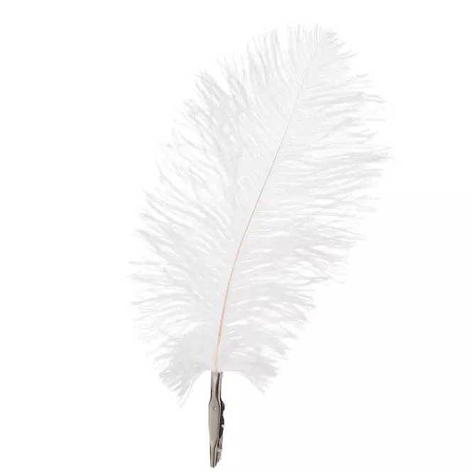 Biele pierko 6 ks 18x9 cm 1112647 / Merkury Market