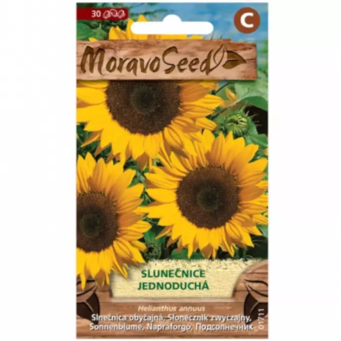 Slnečnica ročná jednoduchá, žltá / Merkury Market